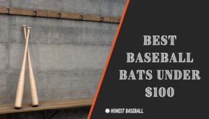 Best Baseball Bats Under $100 | Bats That Make Sense At Budget