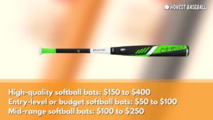 9 Reasons Why Are Softball Bats So Expensive| Along With 5 Best Budget ...