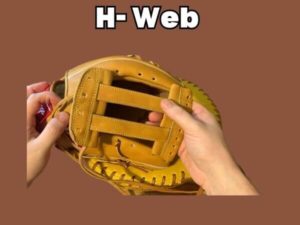 Types Of Baseball Glove Webs - Know Before Picking One | Honest Baseball